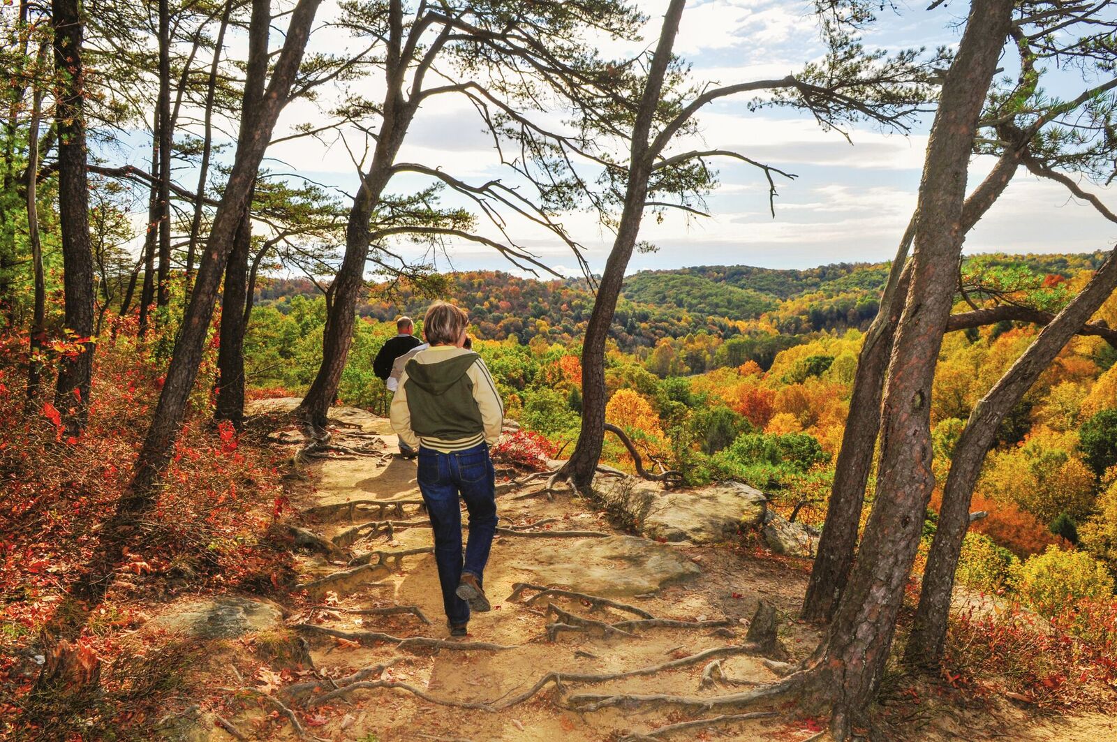 Fall Foliage - Cut Above Cabins